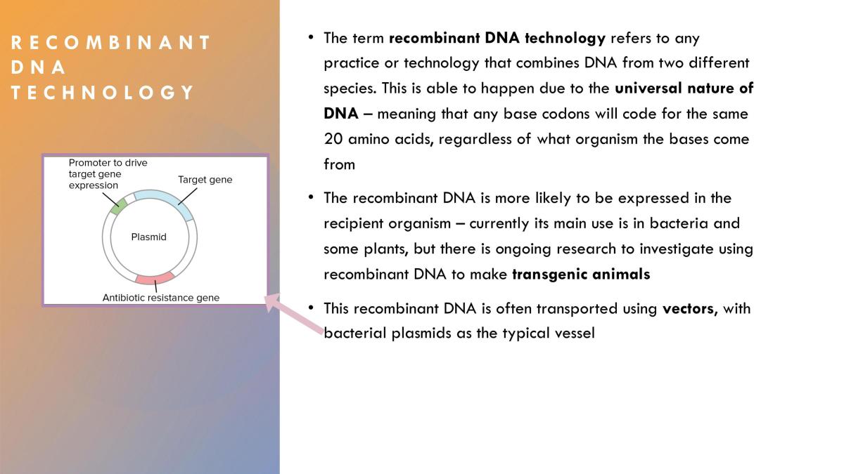 Topic 8: Recombinant DNA and Gene Technologies | Biology - A Level A ...