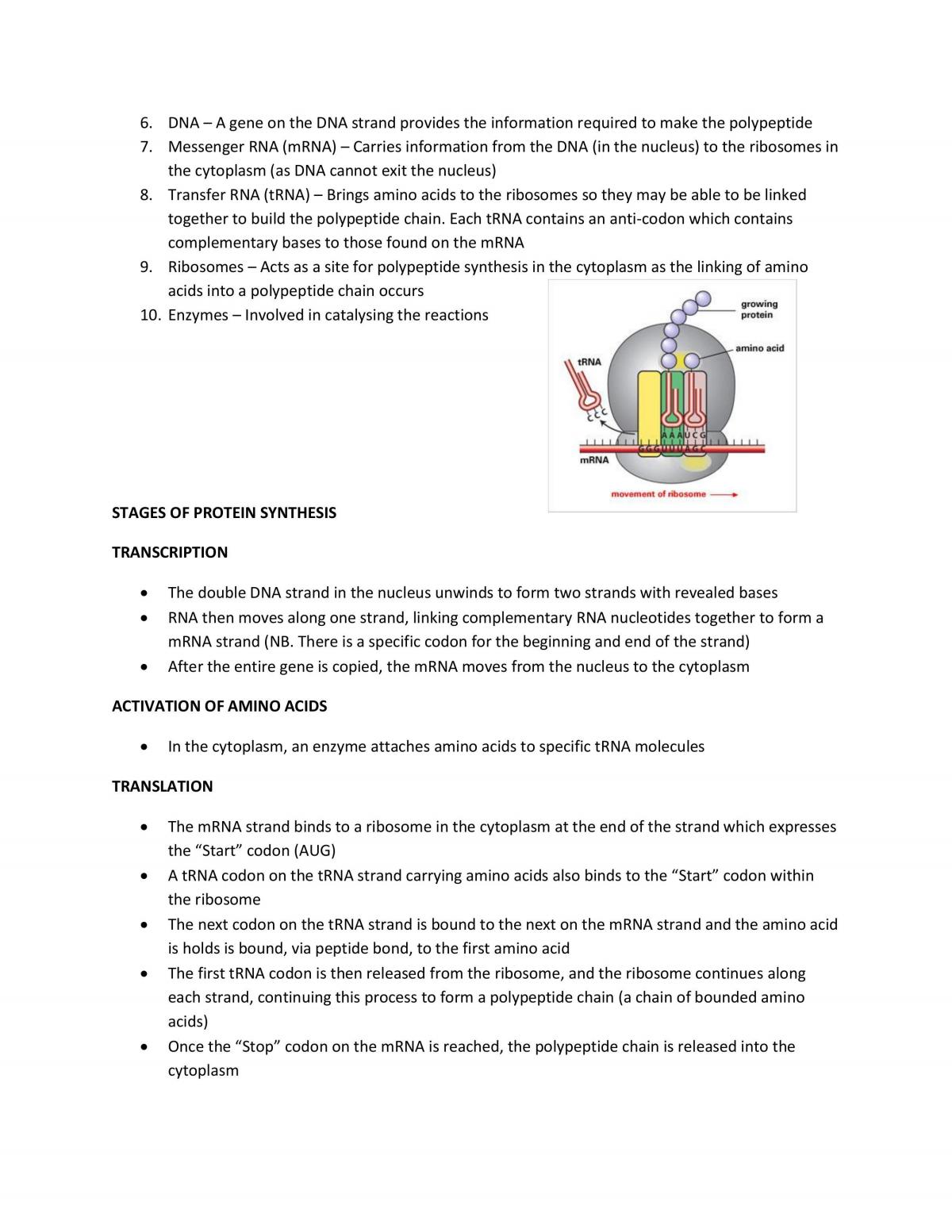 Y12 Biology Notes | Biology - Year 12 HSC | Thinkswap