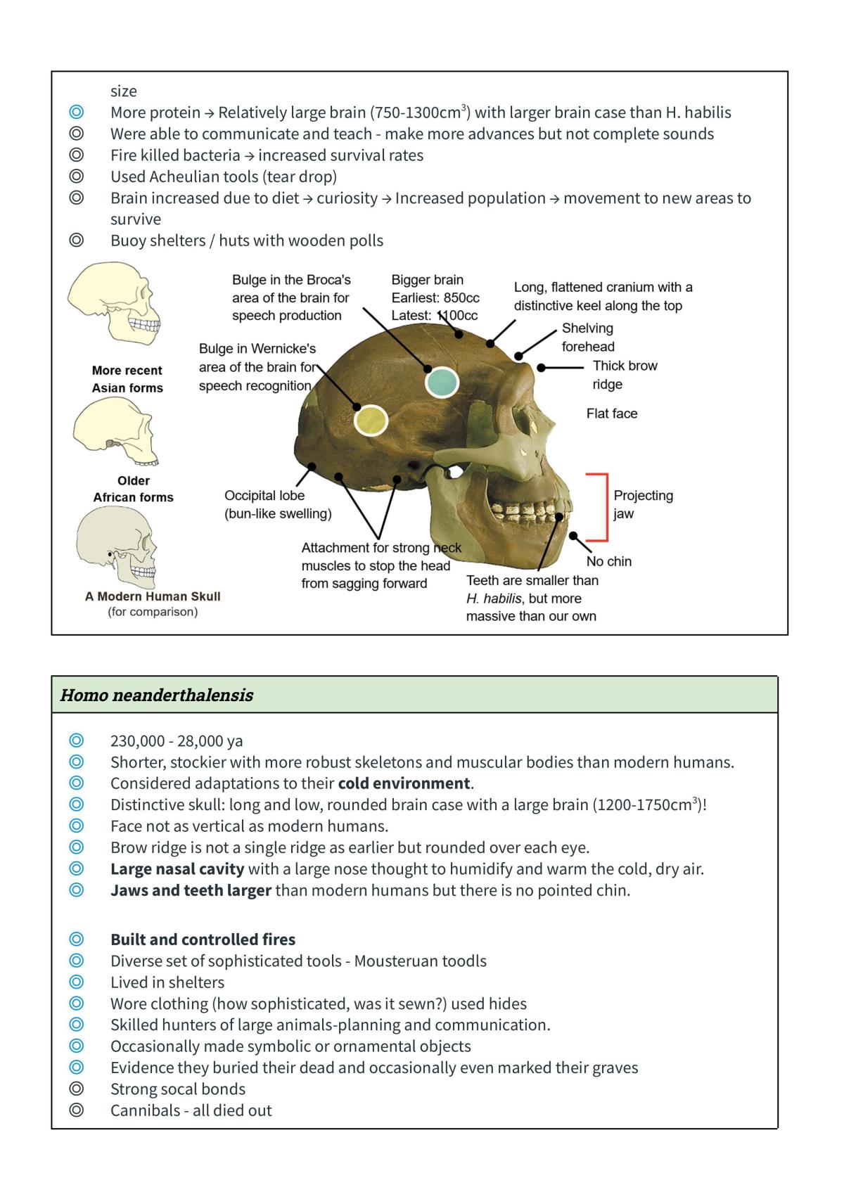 91606 Demonstrate understanding of trends in human evolution | Biology ...