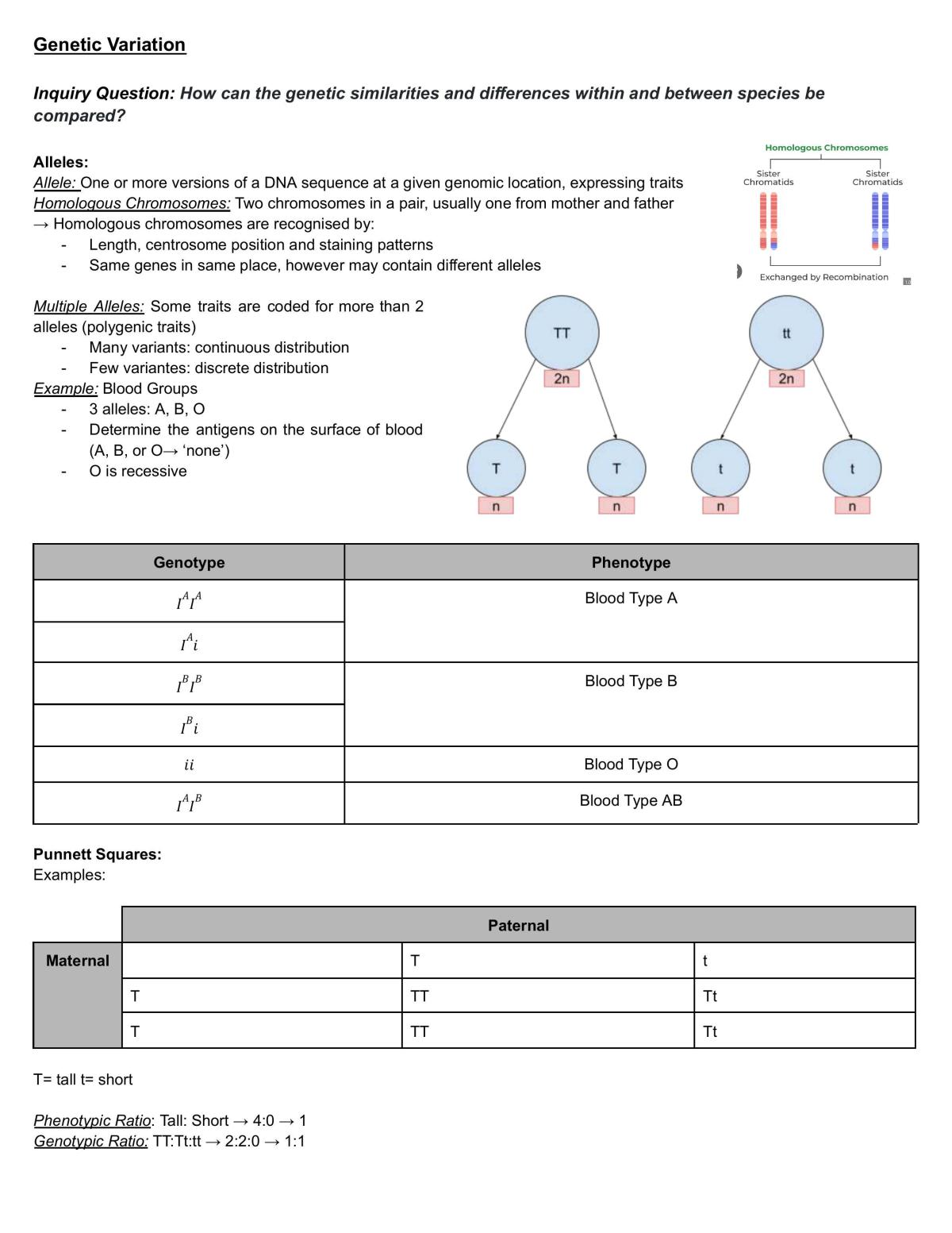 Complete study notes to Biology - Heredity | Biology - Year 12 HSC ...