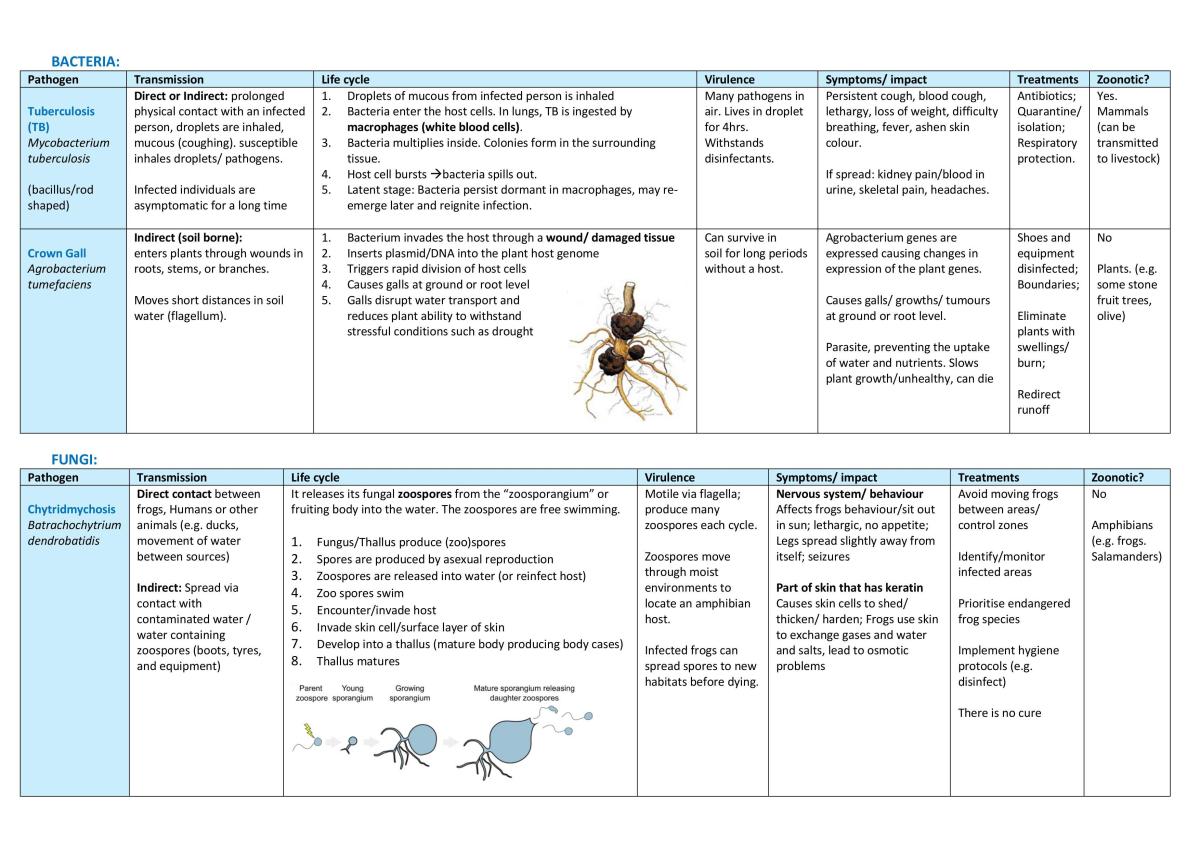 ATAR Biology WACE Exam notes U3 and U4 | Biology - Year 12 WACE | Thinkswap