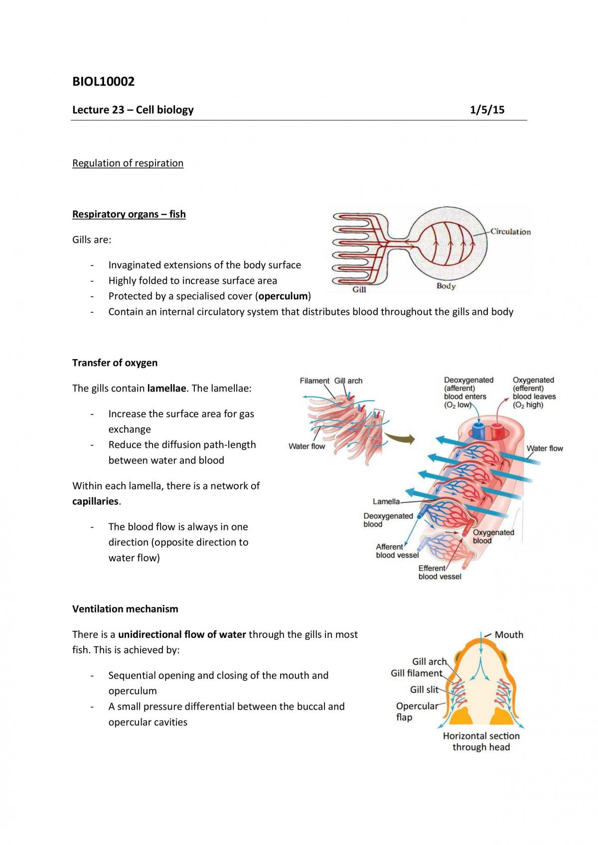 Biomolecules and Cells | BIOL10002 - Biomolecules and Cells - UniMelb ...