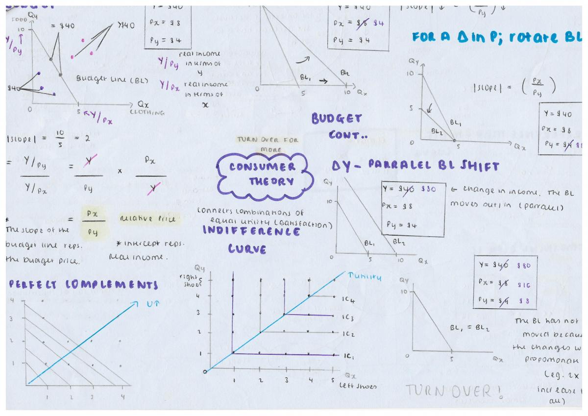 Economics Summary Graphs and Notes of All Topics | ECON1020 ...