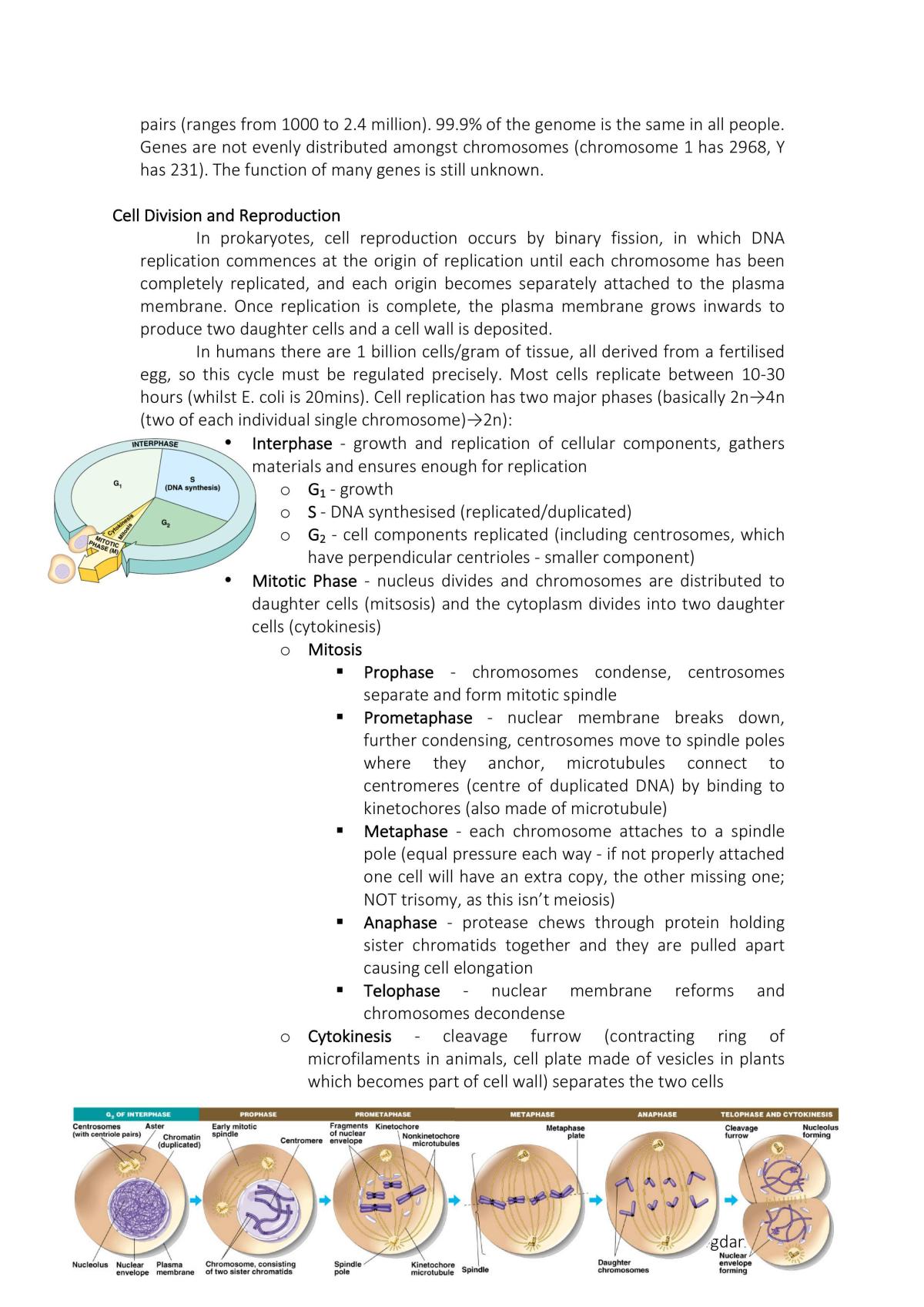 Notes on Molecules Cells and Genes | BABS1201 - Molecules, Cells and ...