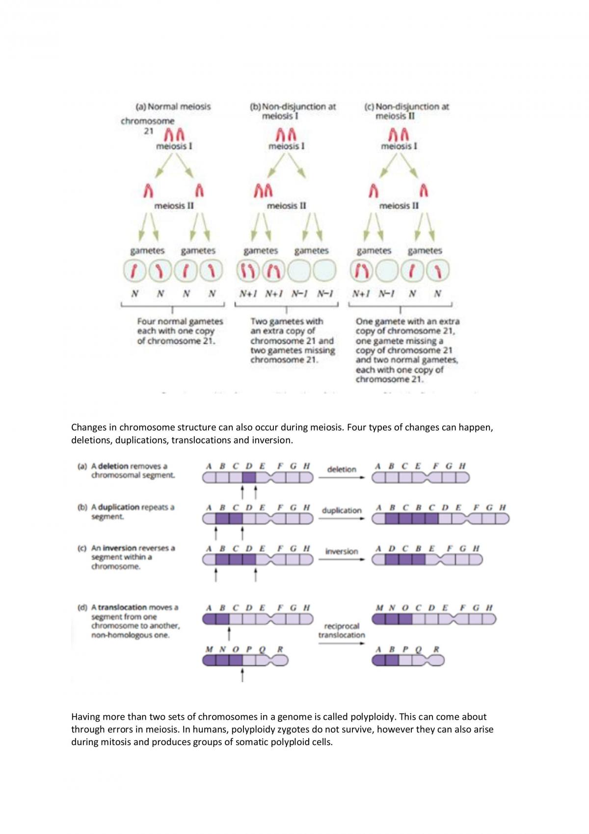 Biology Unit 2 Area of Study 1 Revision Notes | Biology - Year 11 VCE ...