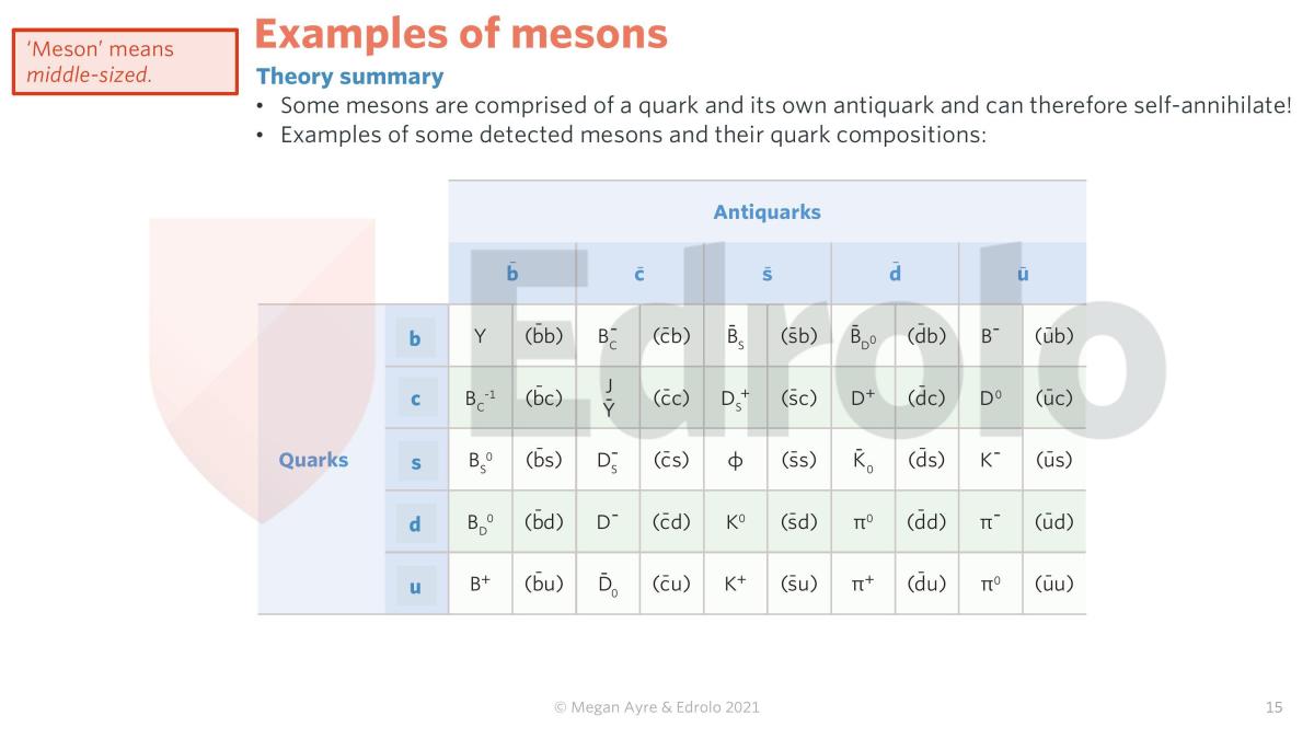 Standard Model Particles | Physics - Year 12 QCE | Thinkswap
